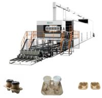 China Pulp Molding Coffee Cup Tray Machine for sale
