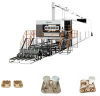 China Moulded Pulp Coffee Cup Tray Machine Fully Automatic for sale