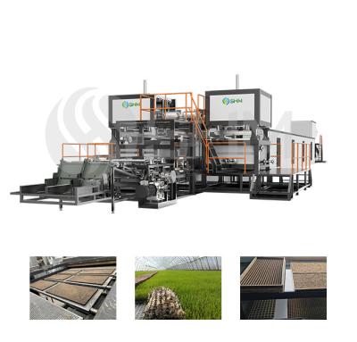 China Paper Nursery Tray Making Machine Full Automatic Pulp Molding Production Line for sale