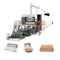 China Fully Automatic Paper Egg Tray Making Machine | 3000–10000 pcs/h Egg Tray Production Line | SHM for sale