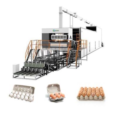 China Fully Automatic Paper Egg Tray Making Machine | 3000–10000 pcs/h Egg Tray Production Line | SHM for sale