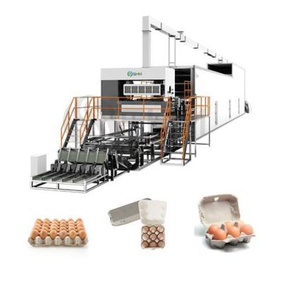 China Customized Paper Pulp Tray Making Machine Molded Pulp Packaging Production Line for sale