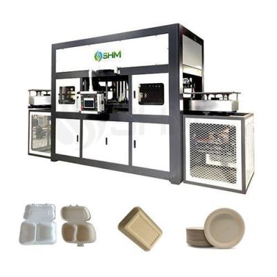 China Fully Automatic Pulp Molding Tableware Machine Paper Tray Machine Production Line for sale
