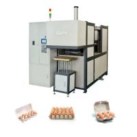 China All-in-One Waste Paper Laboratory Paper Pulp Forming Machine / Small Capacity Egg Tray Machine / Lab Sample Molded Pulp Machine Egg Tray Production Process for sale