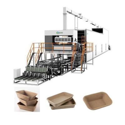 China Fully Automatic Paper Egg Carton Making Machine | Molded Pulp Egg Box Production Line | SHM for sale