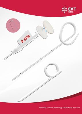 China Low Profile Biliary Drainage Catheter Flexible Stiffener biliary drain tube with Thin Wall Sheath for sale