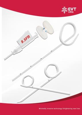 China Disposable Biliary Drainage Catheter Biliary Drain Tube With Peel Away Sheath And 0.035 Hydrophilic Guidewire for sale