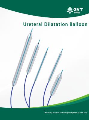 China URL Access Dilatation Balloon Catheter With Hydrophilic Coating and Inflation Device for sale