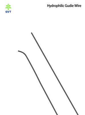 China Adjustable Hydrophilic Guide Wire Curved Radiopaque Tips Surgical Guidewire for sale