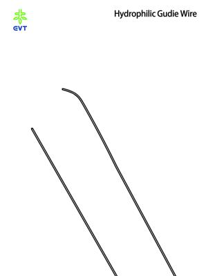China ‌Medical Hydrophilic Coated Guidewire Radio Opaque Dual Tip For Option Platform for sale