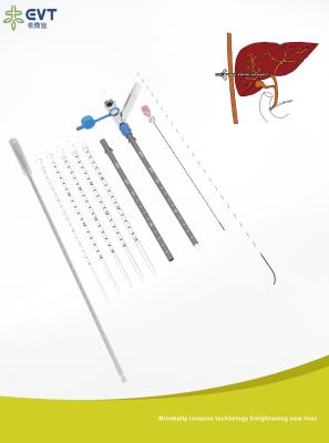 China Hydrophilic Coated Percutaneous Transhepatic Biliary Drainage With Guidewire And Peel Away Introducer for sale