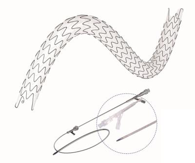China Hydrophobic Coated Double Ureteral Stent Radio Opaque Large Lumen URS Stent for sale