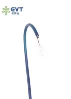 China Sustainable Single Use Flexible Endoscope With Fully Recyclable Design for sale