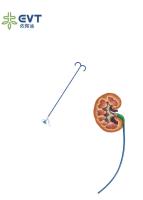 China Dual Lumen Ureteral Access Sheath Endoscopic Procedures Access Sheath Urology for sale