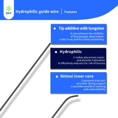 China High Accuracy Hydrophilic Guidewire Hydrophilic Intervention Wire Dual Tip Radiopaque for sale