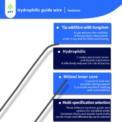 China High Precision Hydrophilic Guide Wire Hydrophilic Coated Wire With Radiopaque Dual Tip for sale