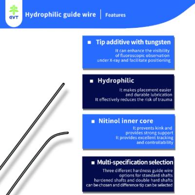 China ‌Medical Hydrophilic Guide Wire Surgical Guidewire With Radio Opaque Markers for sale