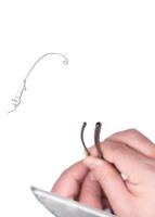 China Dual Channel Disposable Flexible Endoscope Biliary Procedures Disposable Cholangioscope Endoscope for sale