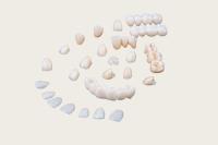 China High Accurate Dental Lab Zirconia Crowns And Bridge FDA Compliant Teeth Crowns for sale