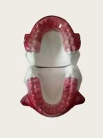 China Clinically Proven Orthodontic Dental Lab Sports Mouthguards Custom Colors for sale