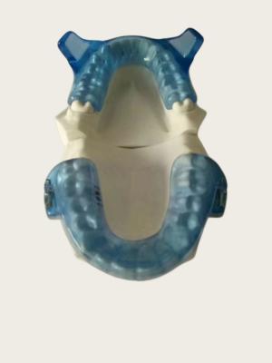 China Full Anatomy Screw Retained Implant Bridge Full Arch Dental Implant Bridge for sale