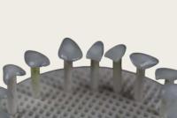 China Ivoclar Emax Laminate Veneers Translucent Esthetic Restorations Dental Clinic Veneers for sale