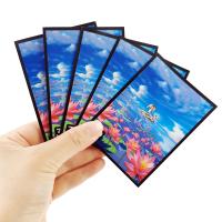 China Art Print Card Sleeves Yugioh MTG TCG Printed Cards Plastic Gaming Game Cards Sleeve for sale