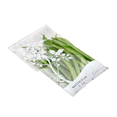 China Disposable Supermarket Farm Vegetable Fruit Food Keep Fresh Antifog Cellophane Transparent Polybag OPP Vegetable Packaging Bag for sale