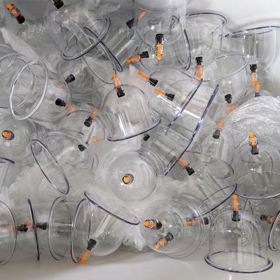 China 500 MIX 8 Size Ventosas Hijama Cups with Pump Tool Disposable Cupping Therapy Cups for sale
