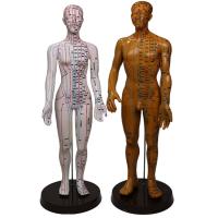 China Bronze Human Body Acupuncture Model Manikin with Male Acupoints and Meridian Points for sale