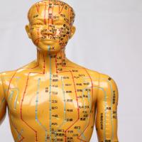 China Bronze Human Body Acupuncture Model Manikin with Male Acupoints and Meridian Points for sale