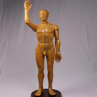 China Bronze Human Body Acupuncture Model Manikin with Male Acupoints and Meridian Points for sale
