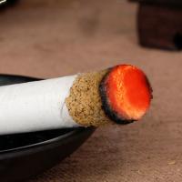 China Chinese Herbal Medicine Pure Moxa Stick Smokeless and Natural for Moxibustion Therapy for sale