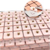 China 600 Pcs Magnetic Ear Seeds for Acupressure Treatment Description Auricular Acupoint Magnet for sale