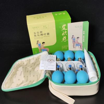 China 18 Silver Needles Cupping Set for Body Massage Haci Magnetic Acupressure Suction Cup for sale