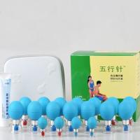 China 18 Silver Needles Cupping Set for Body Massage Haci Magnetic Acupressure Suction Cup for sale