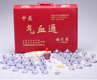 China 27 Cups AS/ABS Material Vacuum Cupping Set Beauty Function with Suitcase and Pump Tool for sale
