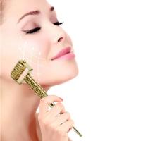 China Face/Ears Acupuncture Points Detector with Face Massage Roller and Spring Needle for sale