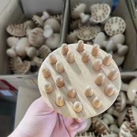 China Feature 2 Customized Logo Availabled Wood Therapy Massage Tools for Cellulite Reduction for sale