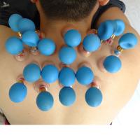 China Acupuncture Physical Therapy Haci Magnet Cupping Set with 12 Cans and Magnetic Needle for sale