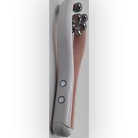 China Anti-Acne Hand-Held Electric Facial Massager Roller with EMS V Face Lifting Function for sale