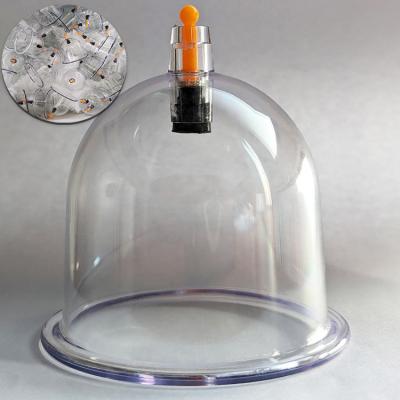 China Class I Instrument Ventouse Cupping Hijama Machine for Detoxification and Pain Relief for sale