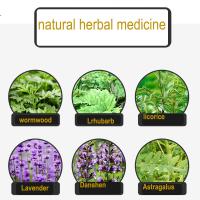 China Customized Color Body Patch for Traditional Chinese Medicine Weight Loss and Toning for sale