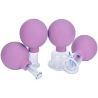 China Customized 4pcs Glass Facial Cupping Set for Face Eye Lip Body in Gift Box Packaging for sale