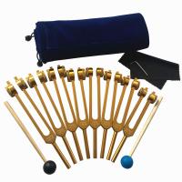 China 8 Piece Set of Chakra Tuning Forks for Sound Healing and Balancing Certification Other for sale