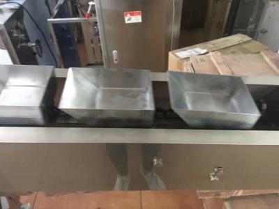 China Factory Price Automatic Horizontal Pillow Type Packing Machine For Biscuit Cookie for sale