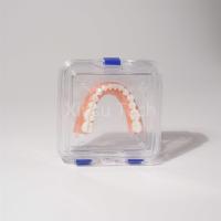 China Transparent Dental Crown Boxes For Unit Bridge Shipping OEM ODM for sale