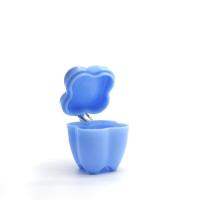 China Dental Plastic Tooth Container Colorful For Baby Milk Tooth Collection for sale