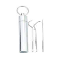 China Non Slip Metal Stainless Steel Toothpick Set For Oral Cleaning for sale