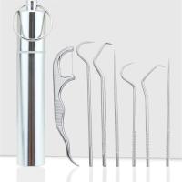 China Non Slip Metal Stainless Steel Toothpick Set For Oral Cleaning for sale